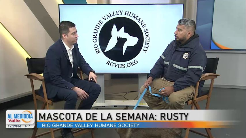 Mascota de la semana: Rusty