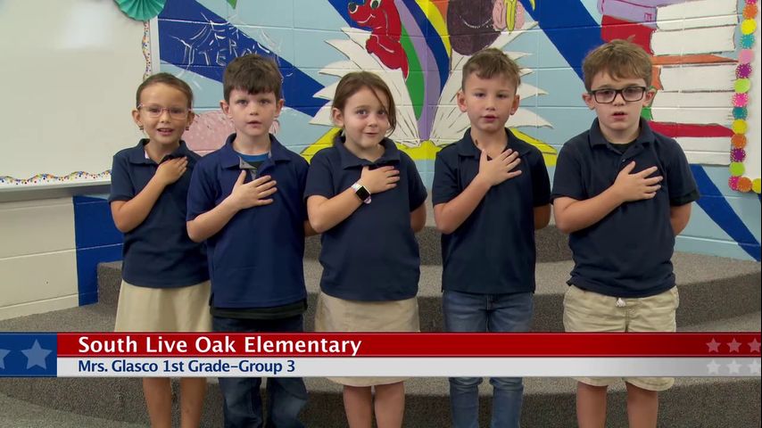 The Pledge of Allegiance - South Live Oak Elementary - Mrs. Glasco 1st ...