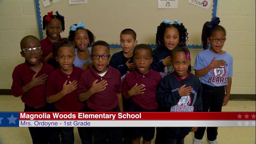 The Pledge of Allegiance: Magnolia Woods Elementary School - Mrs ...