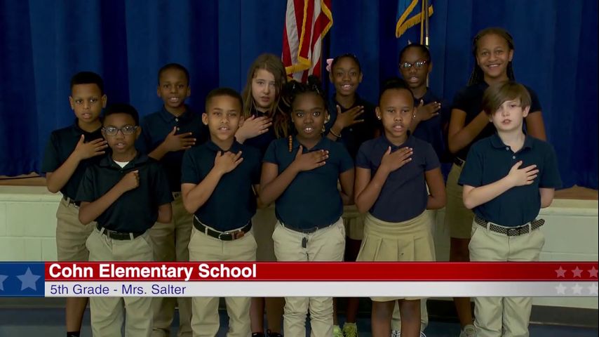 The Pledge of Allegiance: Cohn Elementary School - Mrs. Salter, 5th Grade
