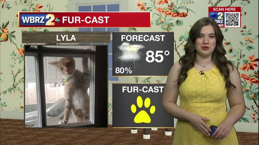 Lyla Fur-cast