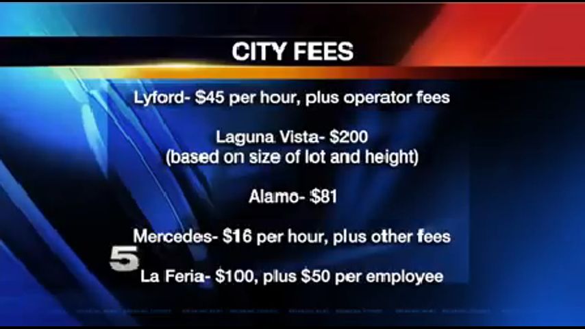 Raymondville Property Owners with Weedy Lots Could Face Fines