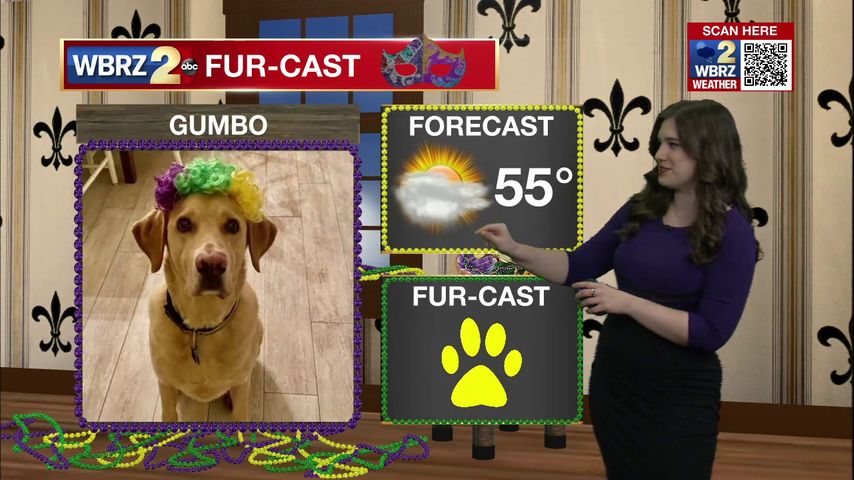 Gumbo Fur-cast