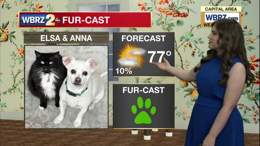 Elsa & Anna Fur-cast