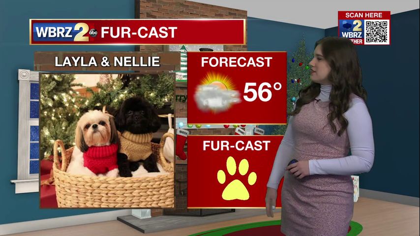 Layla & Nellie Fur-cast