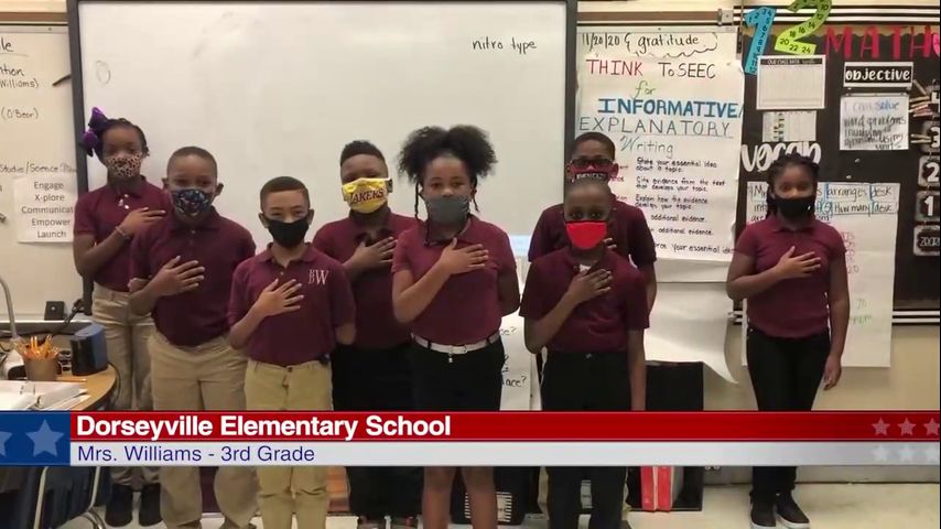 The Pledge of Allegiance: Dorseyville Elementary School - Mrs. Williams ...