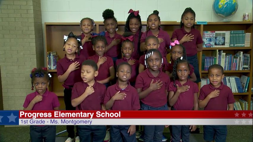 The Pledge of Allegiance: Progress Elementary School - Ms. Montgomery ...