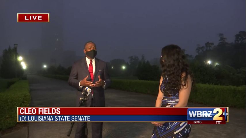 Sen Cleo Fields on special session to address Gov's power during ...