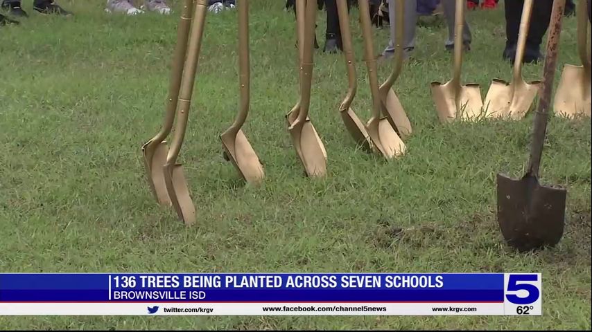 136 trees being planted across seven Brownsville ISD schools