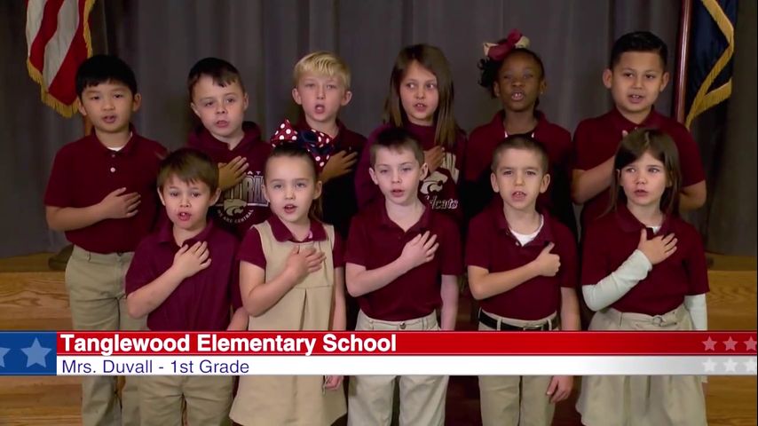 The Pledge of Allegiance: Tanglewood Elementary School - Mrs. Duvall ...