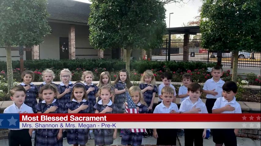 The Pledge of Allegiance: Most Blessed Sacrament School - Mrs. Shannon ...
