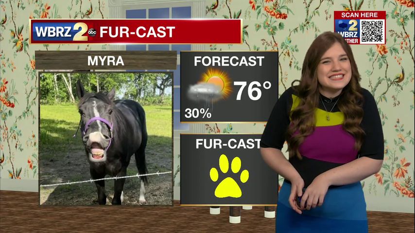 Myra Fur-cast