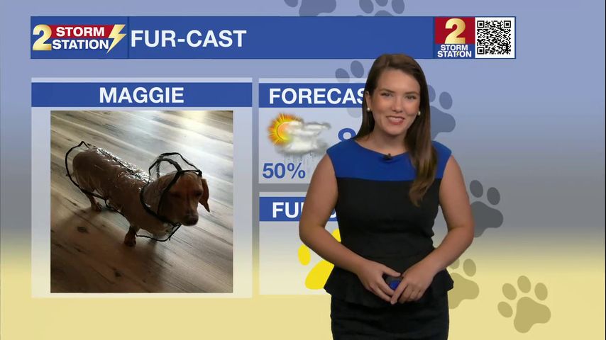 Fur-cast Maggie1