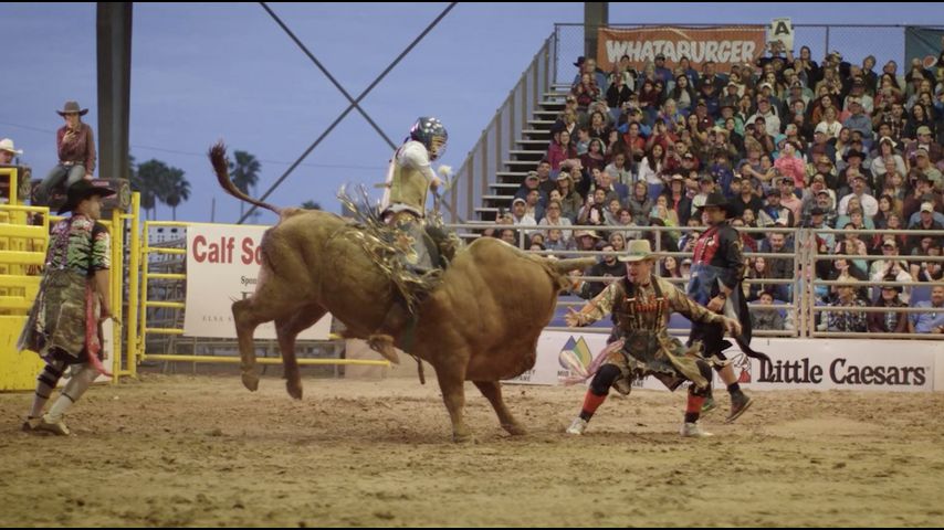 RGV Livestock Show