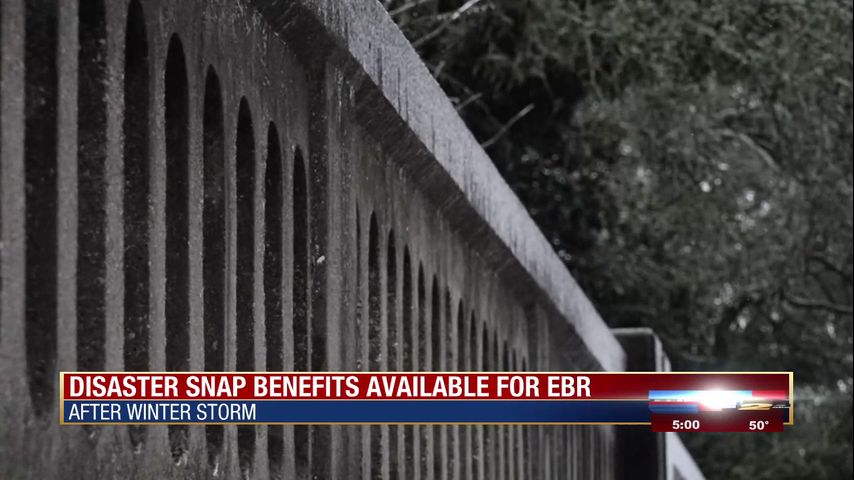 Disaster SNAP benefits available for East Baton Rouge Parish