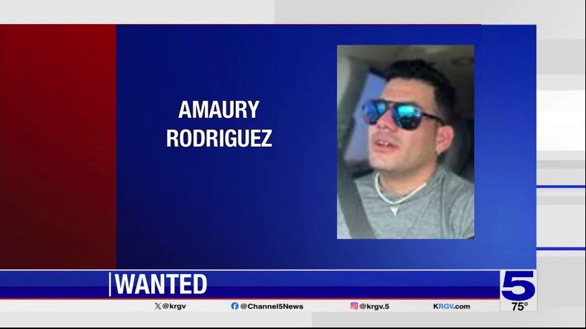McAllen police arrest 2 men in connection with credit card abuse ...