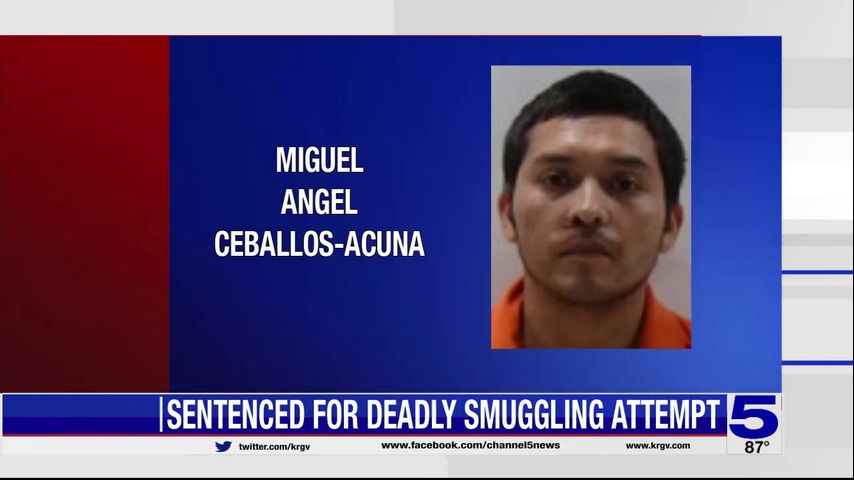 Convicted human smuggler sentenced to nearly 5 years in prison in ...