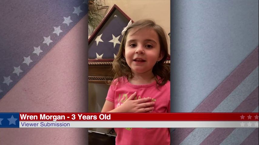 The Pledge of Allegiance: Wren Morgan - 3 Years Old, Viewer Submission