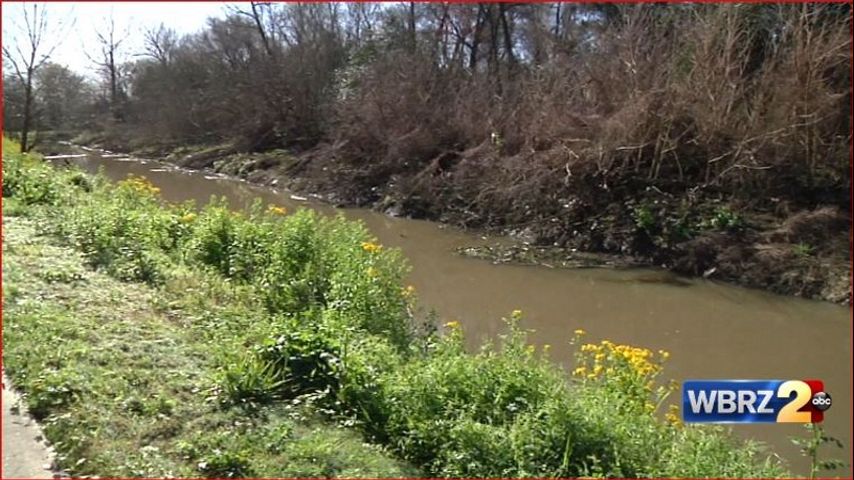 Baton Rouge waterway pollution becoming a problem for local wildlife