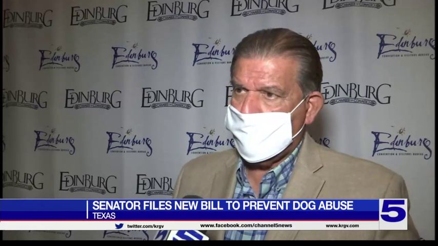 Texas Senator Eddie Lucio filed a bill to prevent dog abuse