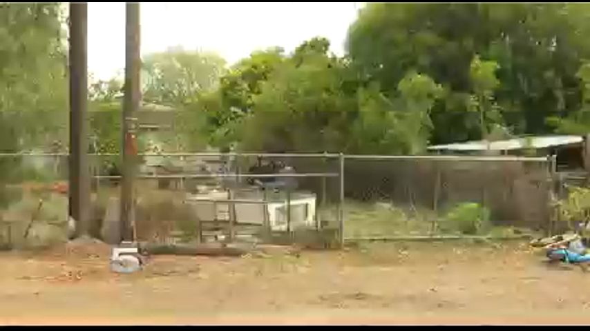Sebastian Lightning Strike Survivors Share Experience