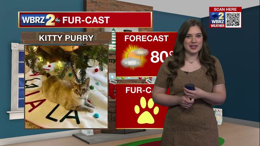 Kitty Purry Fur-cast