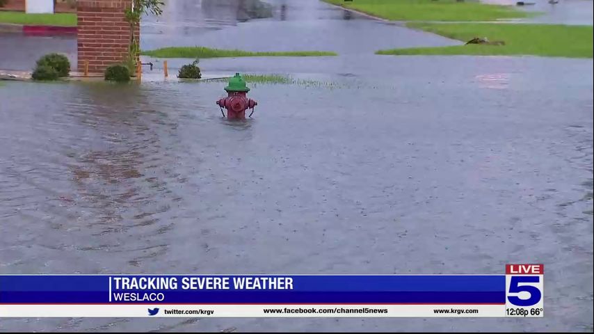 May 19, 2021: Noon weather coverage from Weslaco