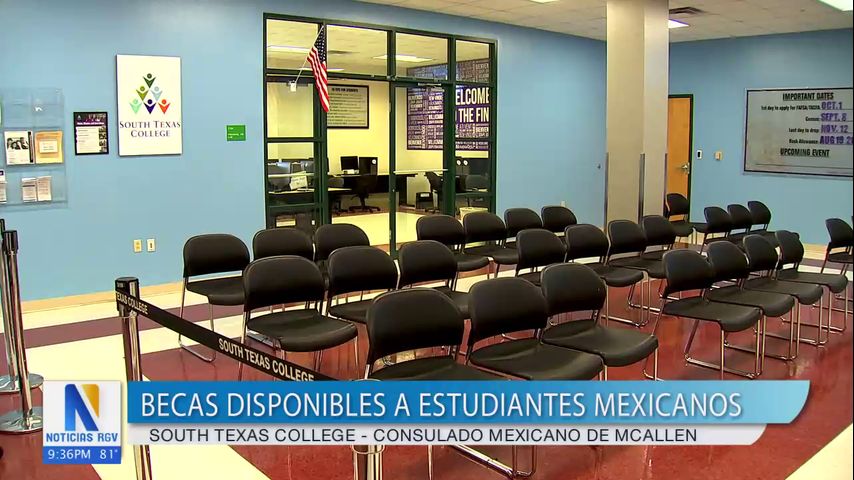 South Texas College de McAllen ofrece becas para estudiantes de ...
