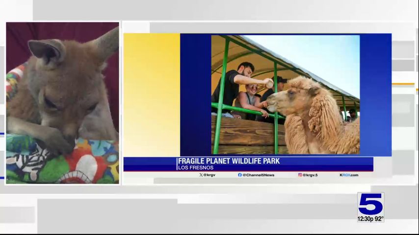 Fragile Planet Wildlife Park open to the public