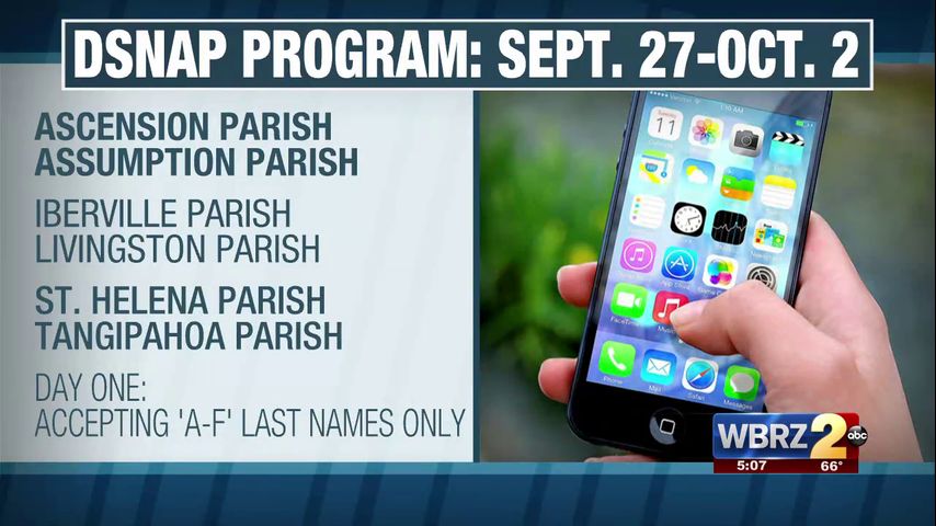 LA Parishes enter Phase 2 of DSNAP application process