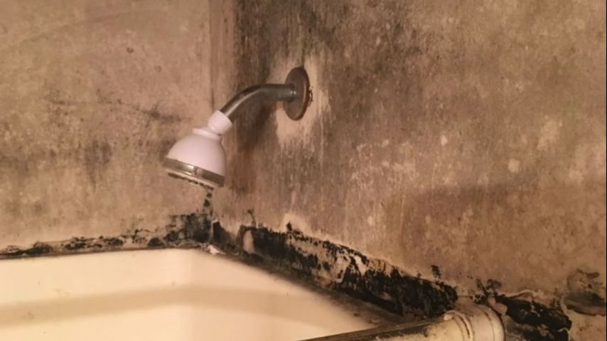 Tenant says landlord ignored water leak, resulting in moldy mess
