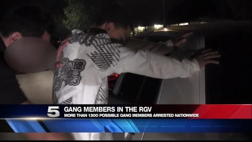 Gang Expert Describes Gangs in RGV