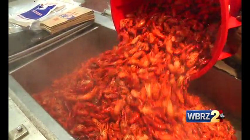 Crawfish for Christmas?