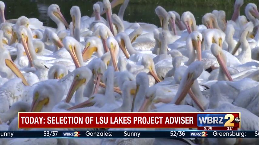 Selection of LSU Lakes Project Advisor