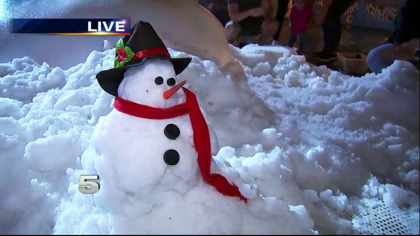 Community Can Experience Snowman Building at FRIO! McAllen