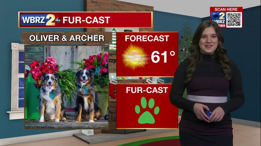 Oliver & Archer fur-cast