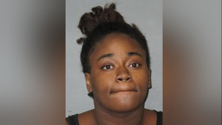 Pregnant woman allegedly threatens boyfriend with gun before attempting ...
