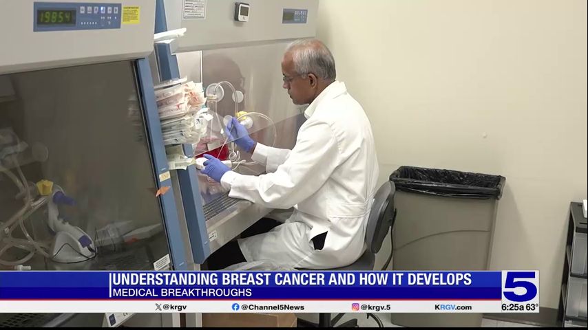 Medical Breakthroughs: Understanding breast cancer and how it develops