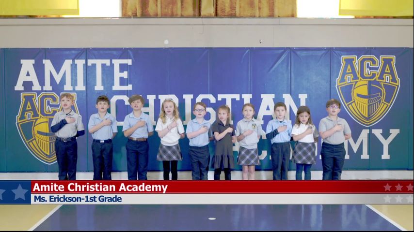 The Pledge of Allegiance - Amite Christian Academy - Ms. Erickson - 1st ...