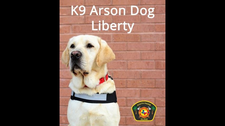K-9 Arson Dog Joining SPI Fire Dept.