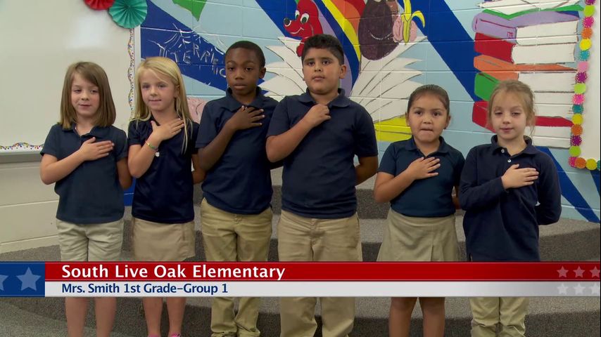 The Pledge of Allegiance - South Live Oak Elementary- Mrs. Smith 1st ...