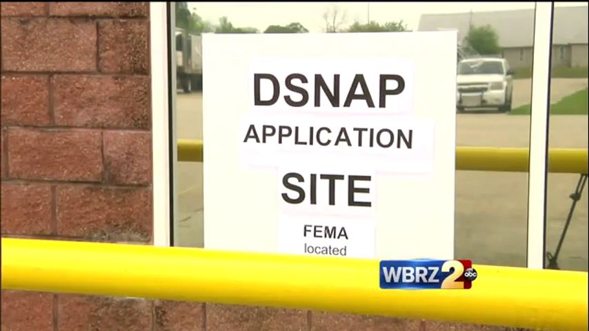 DSNAP applications begin in Ascension