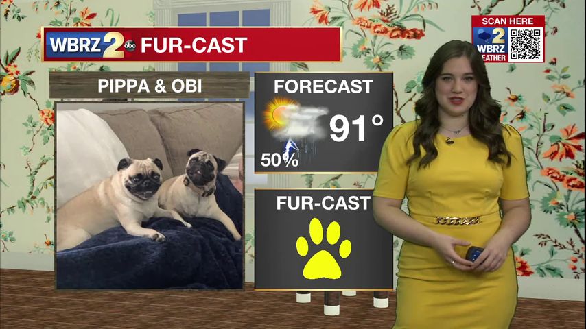 Pippa & Obi Fur-cast