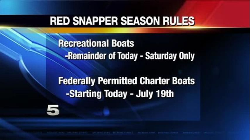 Red Snapper Season Rules