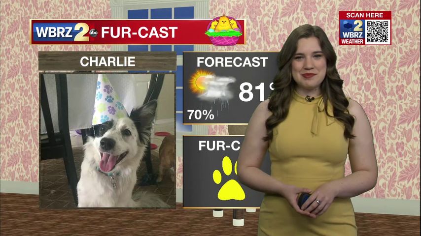 Charlie Fur-cast