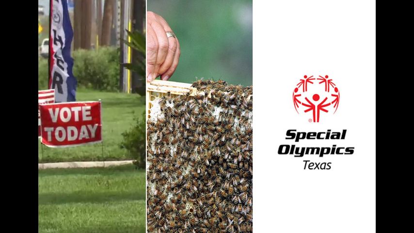 Top Stories: Voter Fraud; Bee Attack; Special Olympics