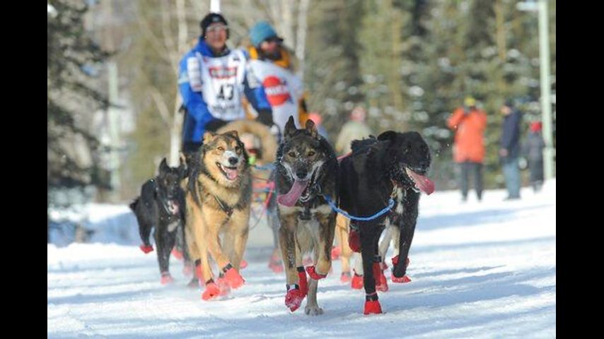 Alaska musher leads in the early stage of the Iditarod