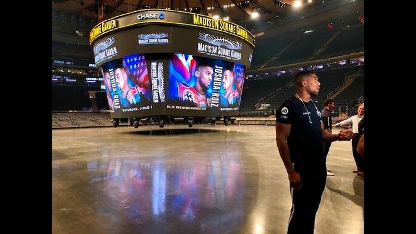 Joshua at home in Garden despite never fighting there