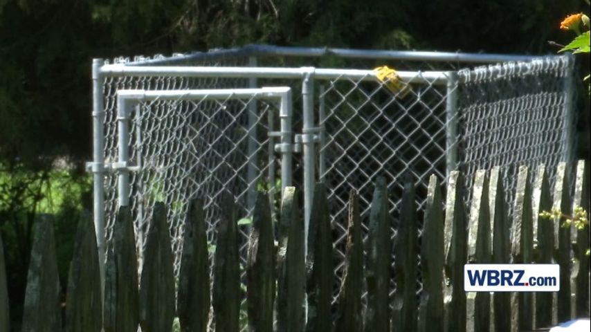 Animal control seizes 'dangerous' dog after second reported attack