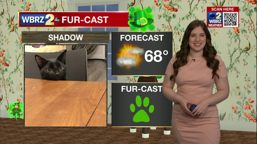 Shadow Fur-cast